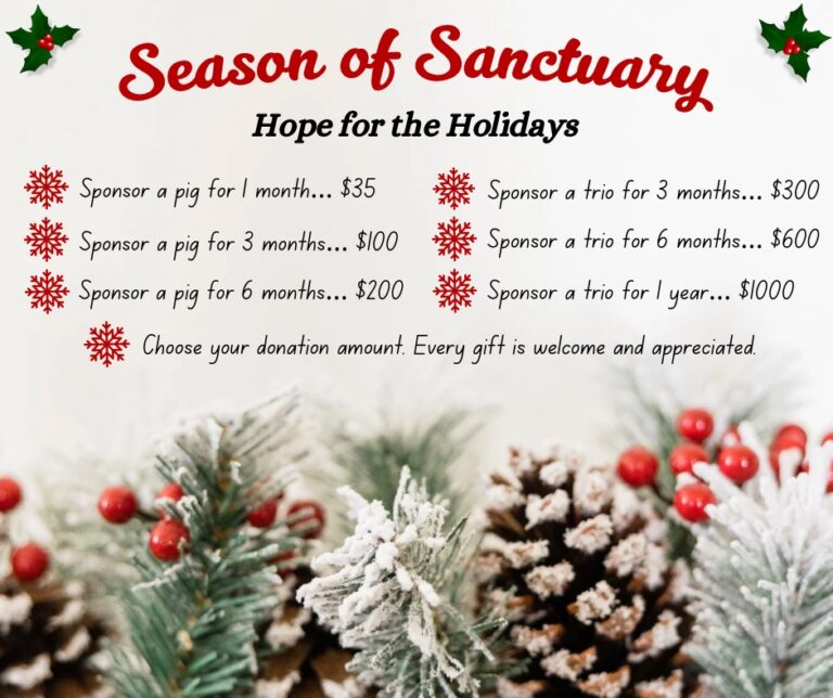 Season of Sanctuary - New Life Animal Sanctuary